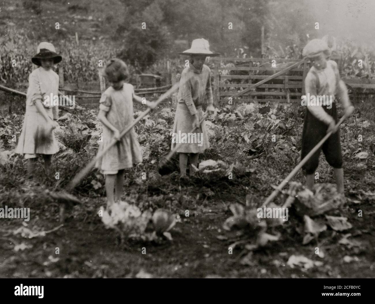 Hoeing farmers hi-res stock photography and images - Alamy