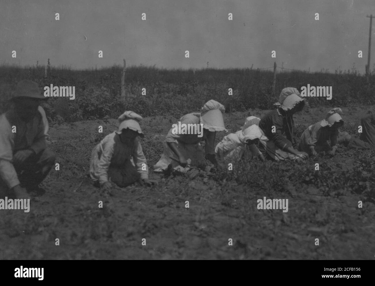 Child Sugar beet workers, Sugar City, Colorado Stock Photo - Alamy
