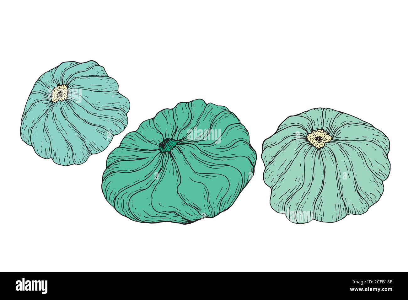 Collection vegetables patisson isolated on white background Stock ...