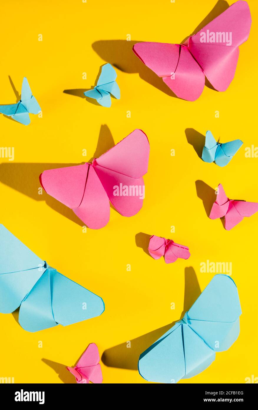 Fragile butterflies made of paper and attached to yellow cardboard ...