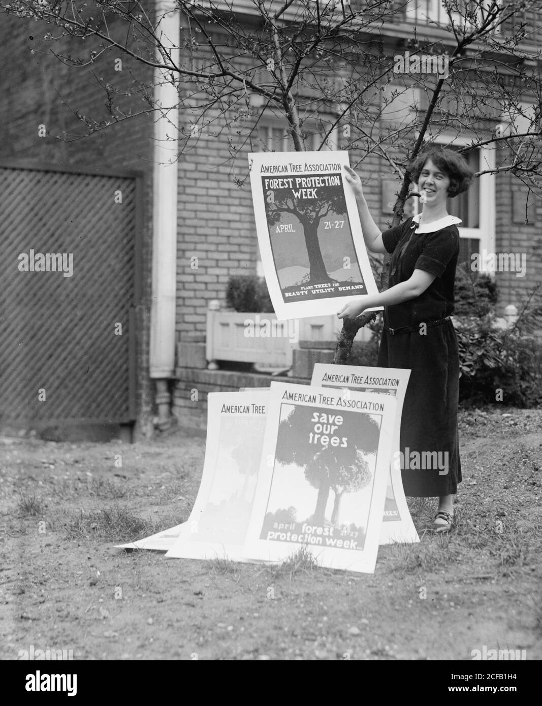 American Forestry Association Posters Stock Photo - Alamy