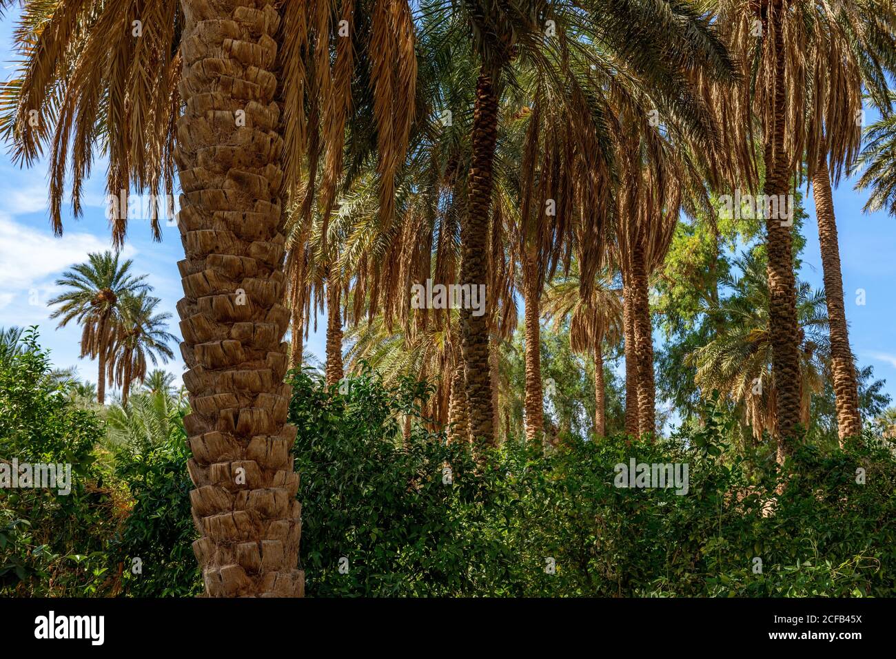 Kerman province, Iran, Mid-east, Asia, Islamic Republic of Iran, Lut ...