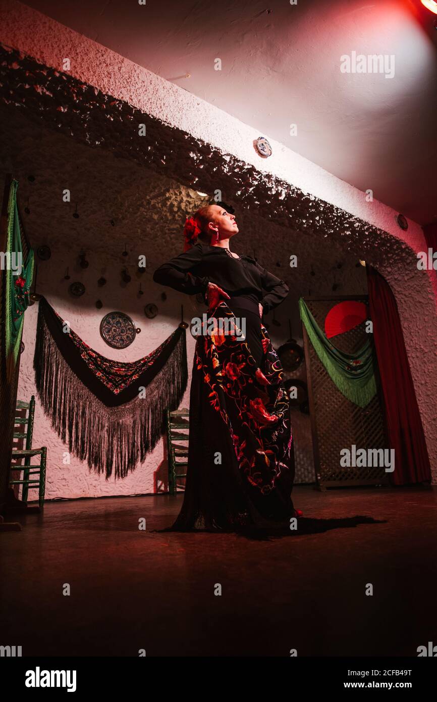 Woman dancer in flamenco costume standing in dance posture Stock Photo ...