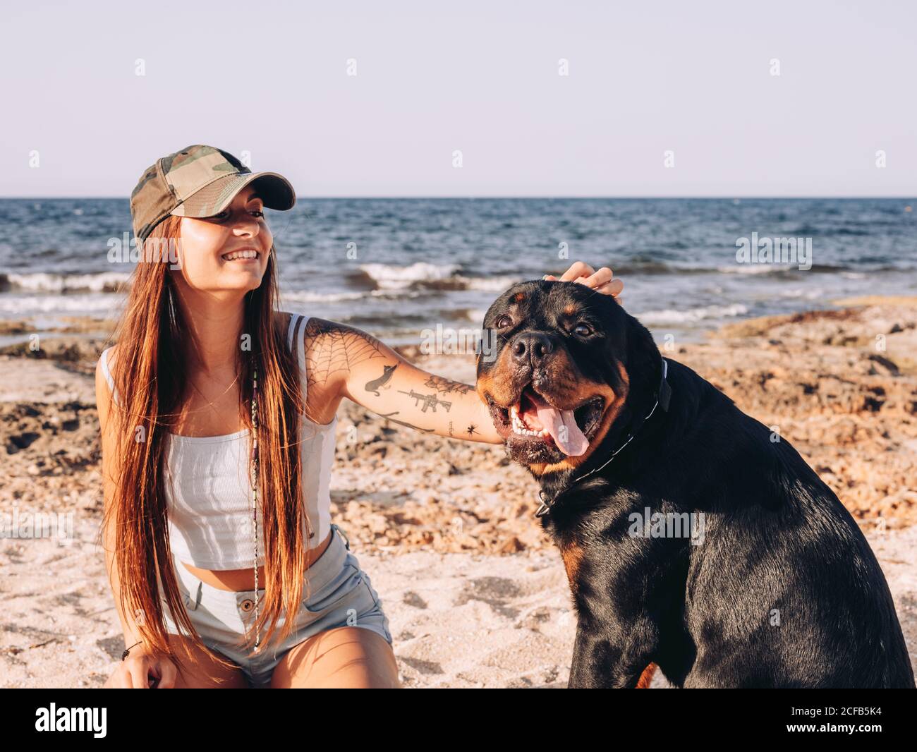 Rottweiler at the beach hi-res stock photography and images - Alamy