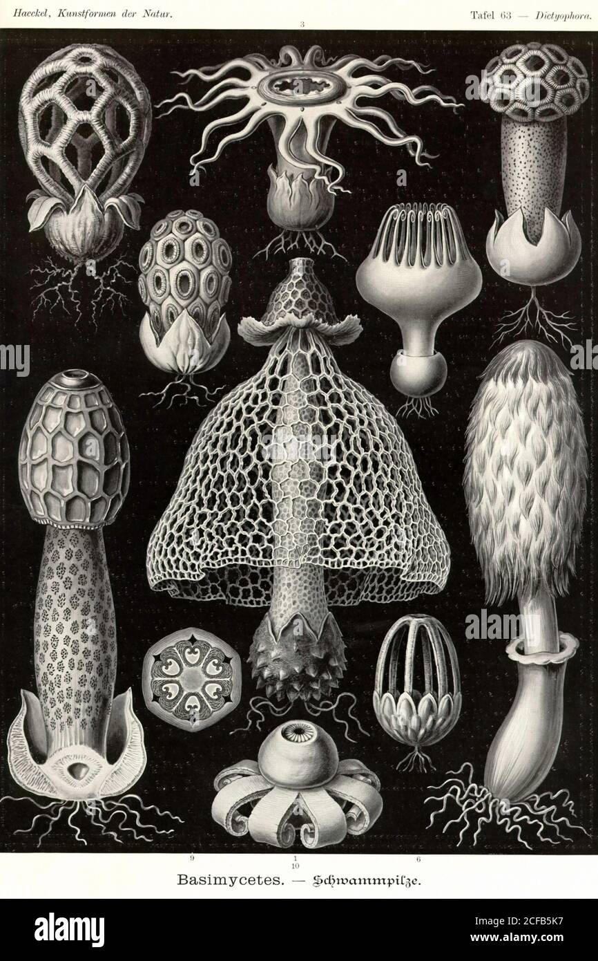 Funji hi-res stock photography and images - Alamy