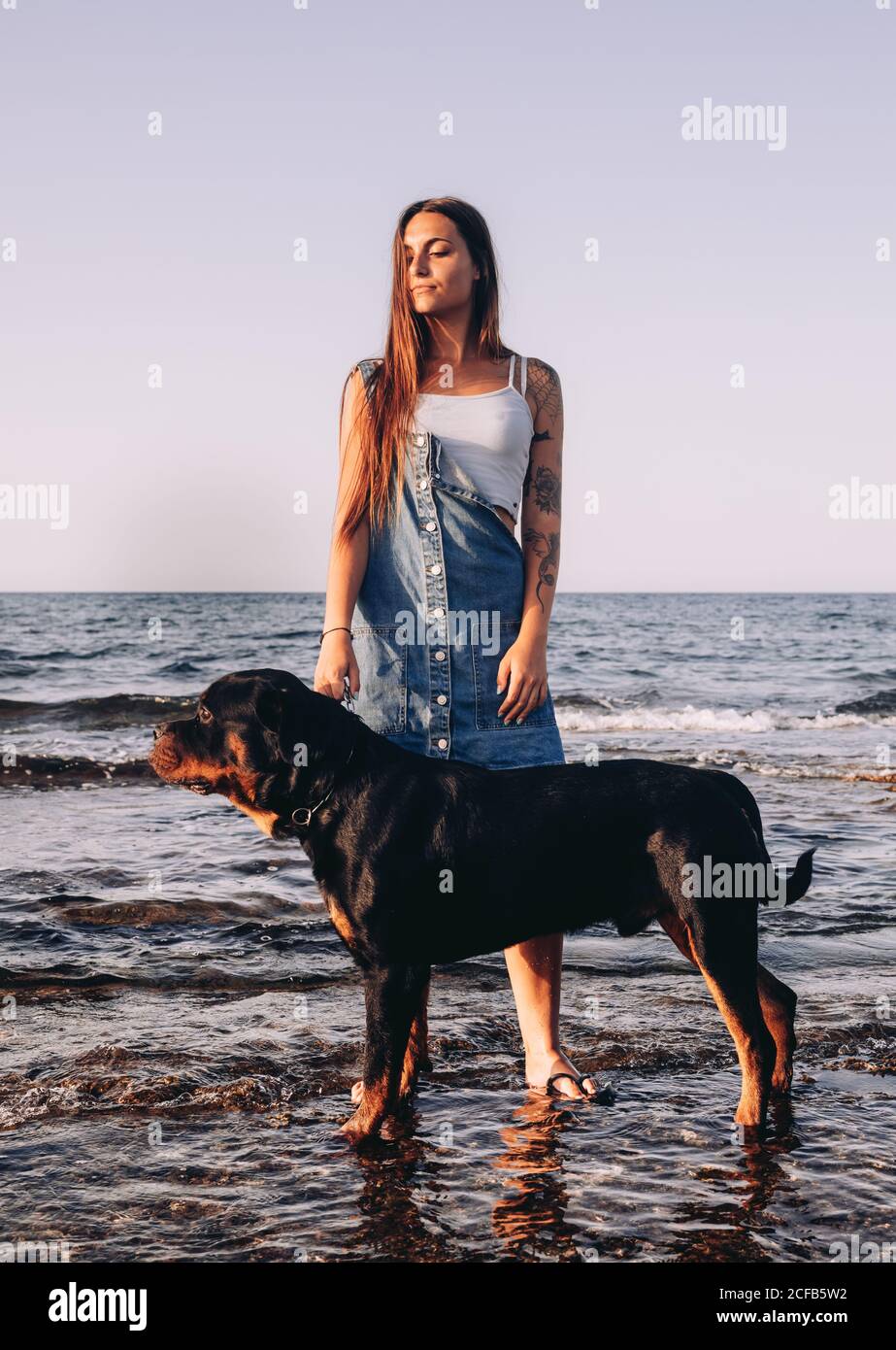 Beautiful young woman big dog hi-res stock photography and images - Alamy