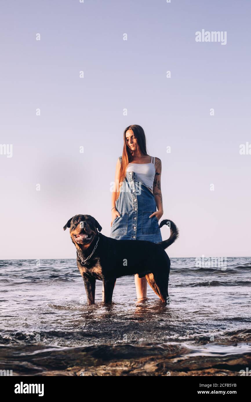 Beautiful young woman big dog hi-res stock photography and images - Alamy