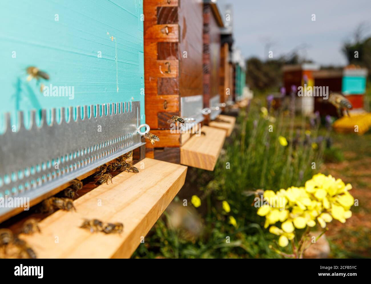 Beehive box hi-res stock photography and images - Alamy