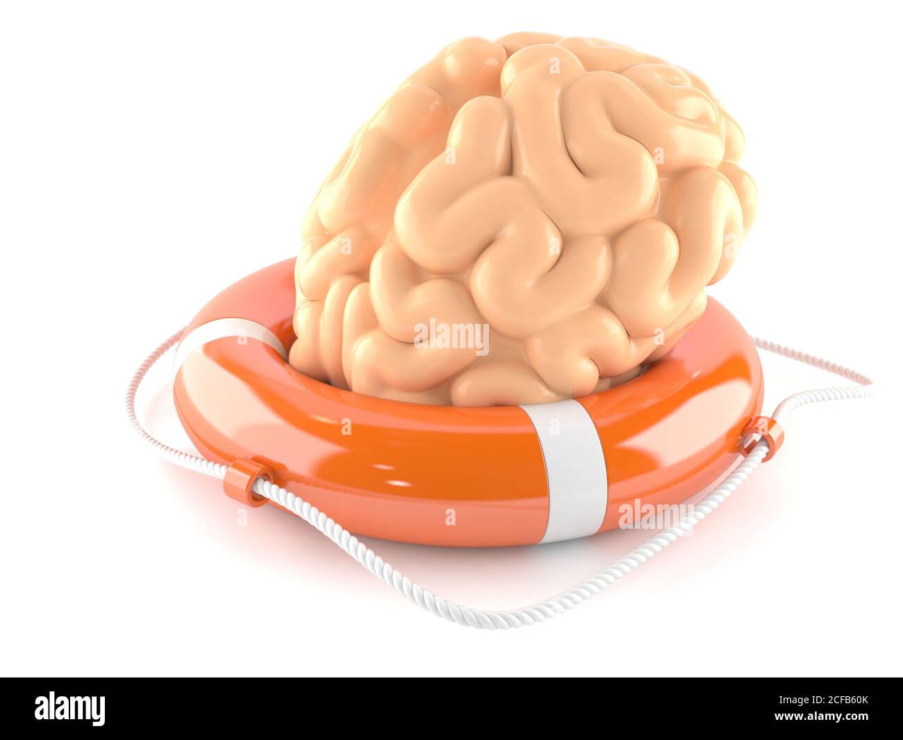 Brain help isolated on white background Stock Photo - Alamy