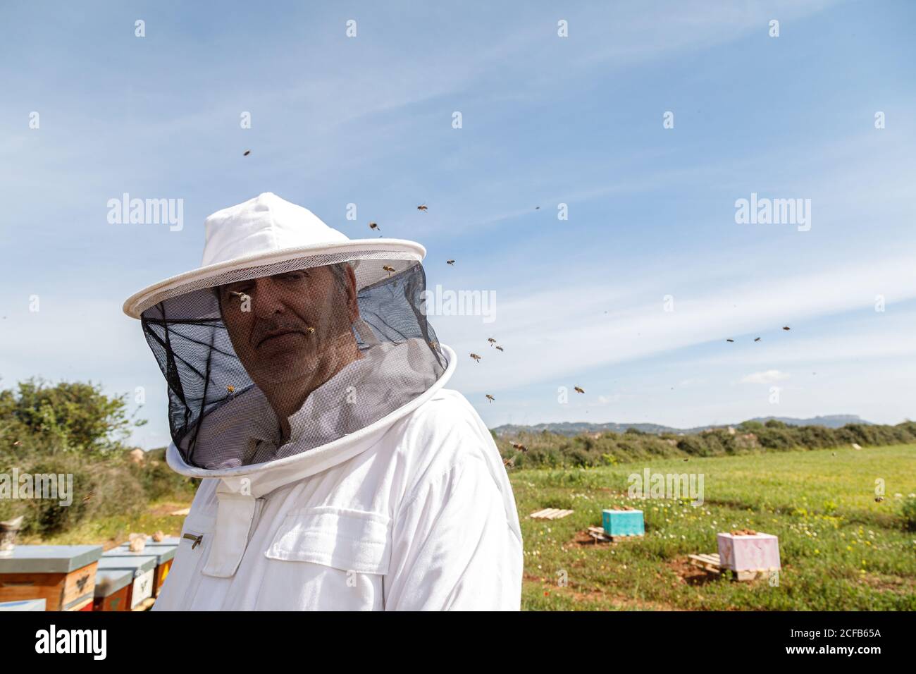 Beekeeper mask hi-res stock photography and images - Alamy