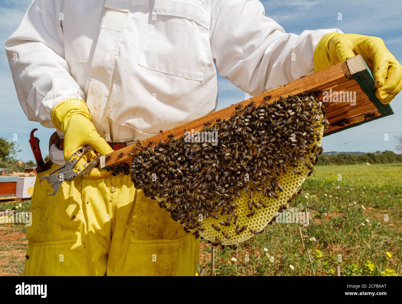 Safety Work Wear High Resolution Stock Photography and Images - Alamy