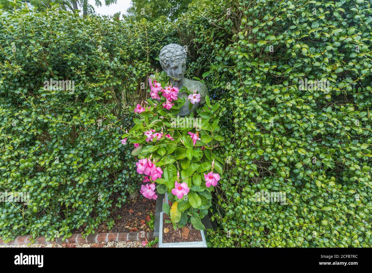 Statue covered by flower and vines in outdoor garden Stock Photo - Alamy