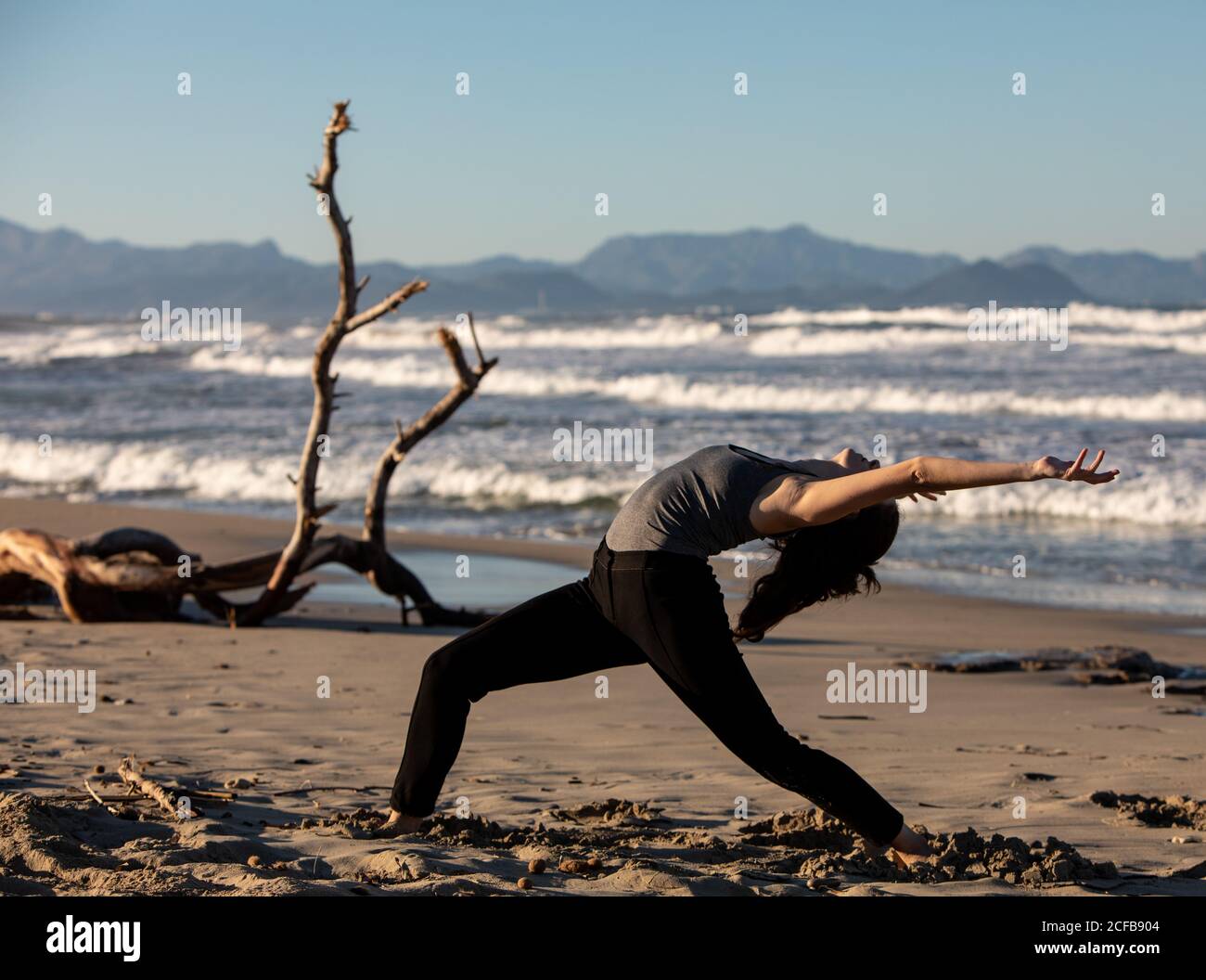 Young dancer posing near tree trunk on sand coast with waving sea and ...