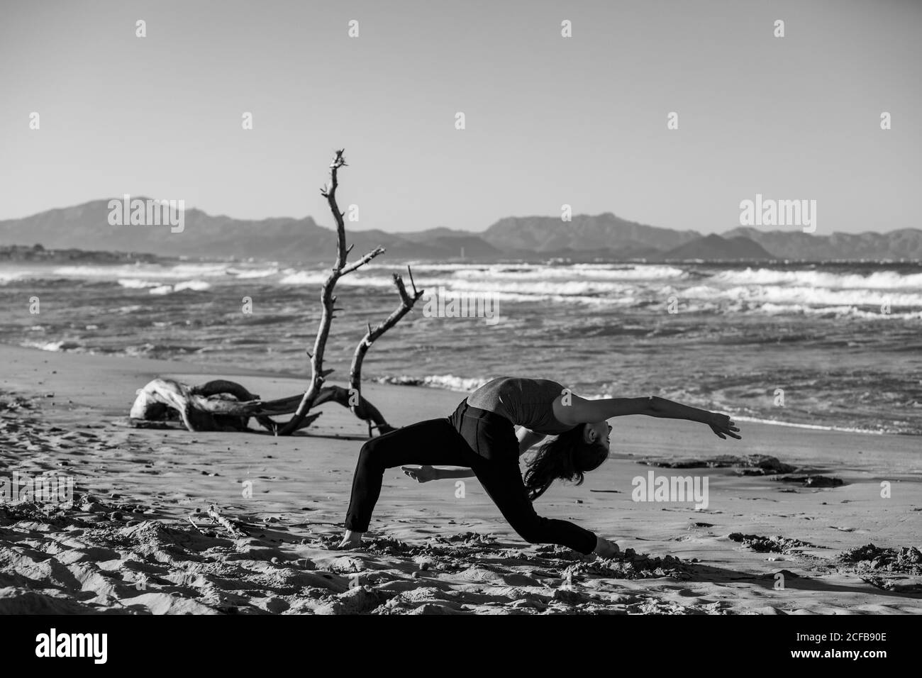 Young dancer posing near tree trunk on sand coast with waving sea and ...