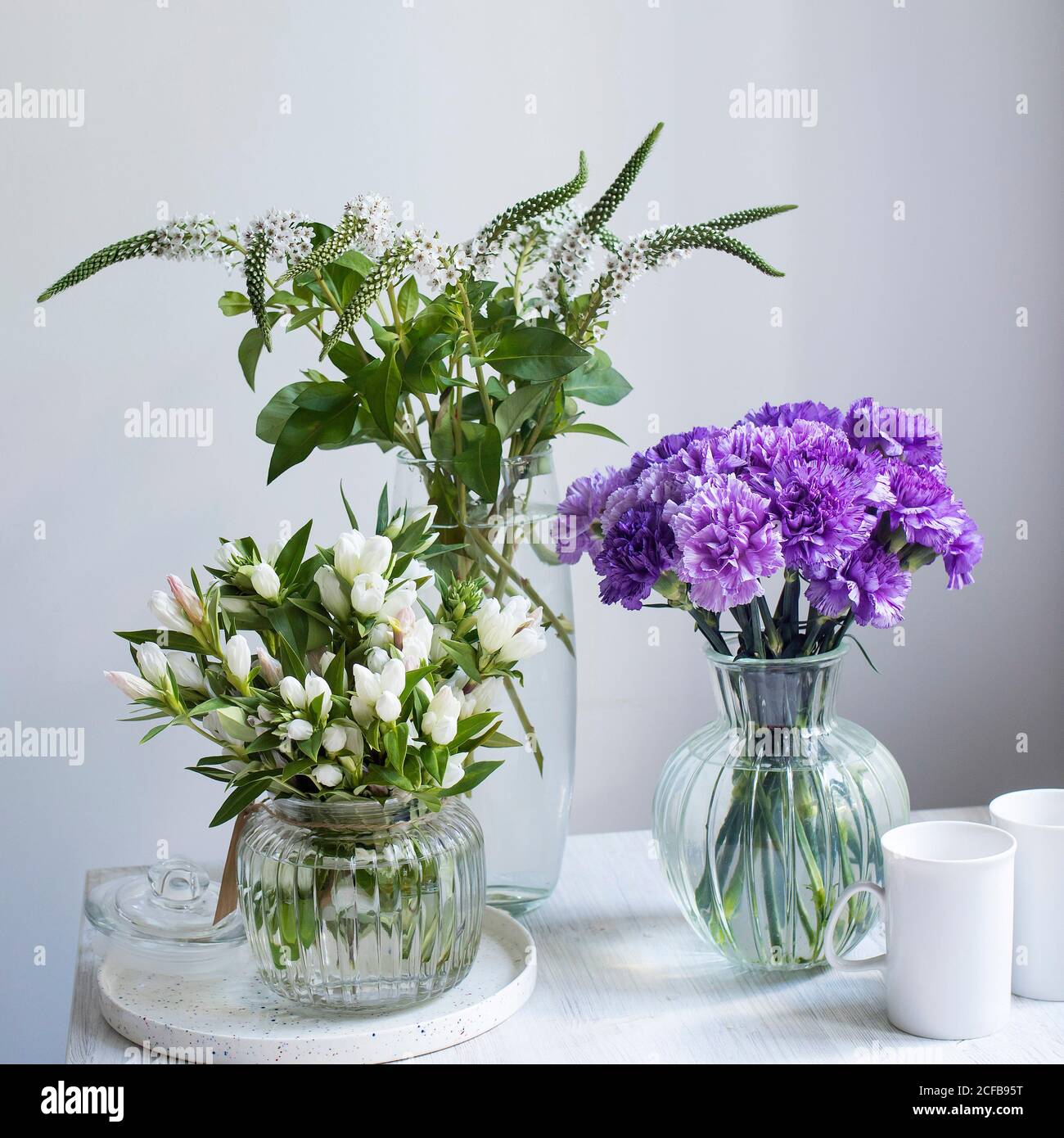 Gentiana lutea, the great yellow gentian, is a species of gentian ...