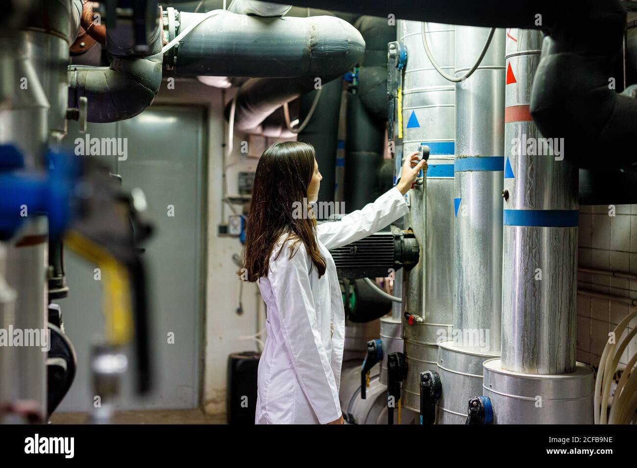 Inspector expert hi-res stock photography and images - Alamy