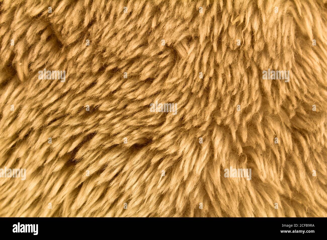 Fur Texture High Resolution Stock Photography and Images - Alamy