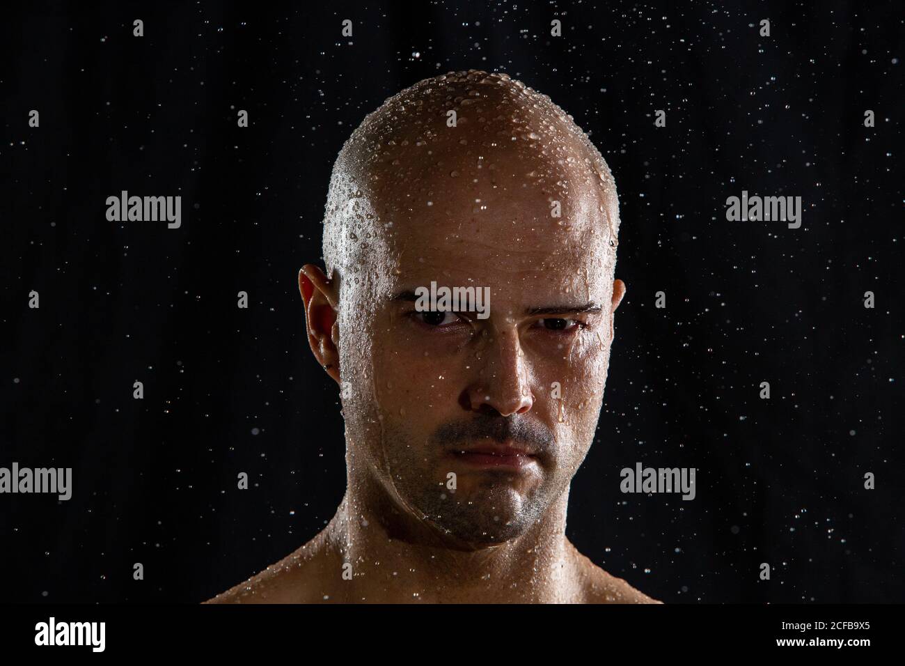 Handsome bald male looking at camera with serious face expression while ...