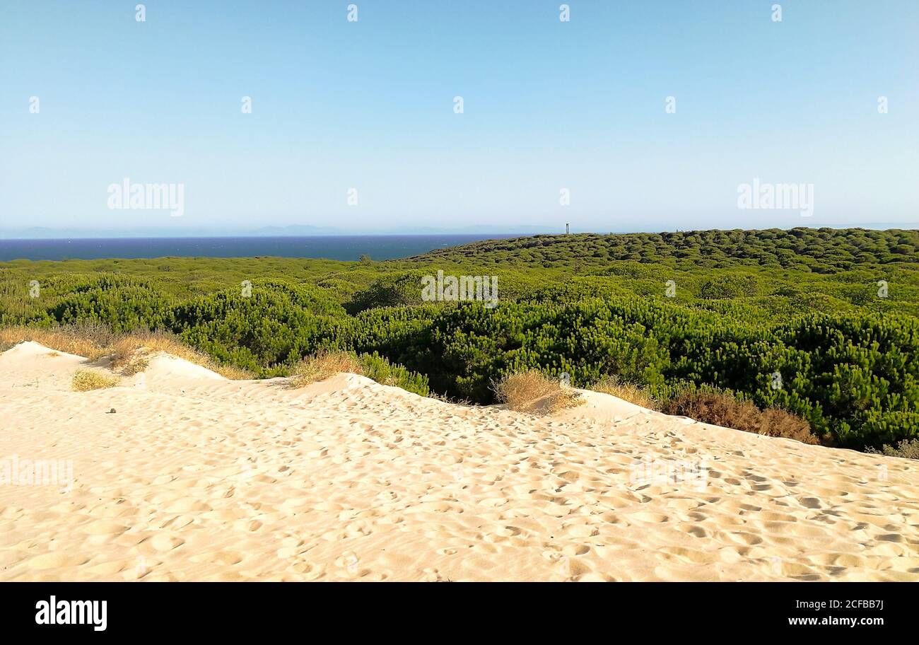 Road in sand pine hi-res stock photography and images - Alamy