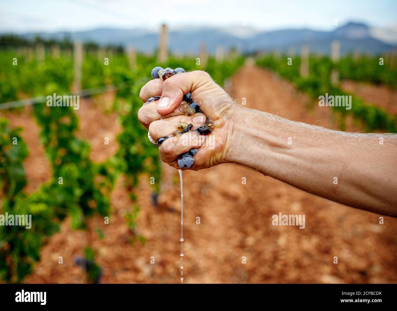 Strong squeeze hi-res stock photography and images - Alamy