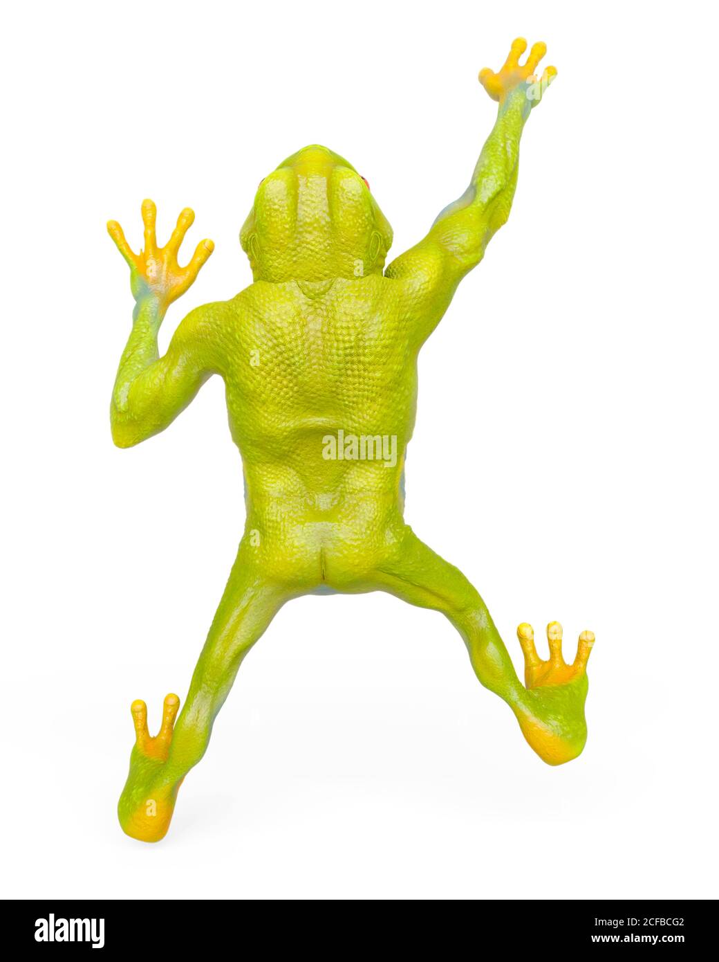frog is climbing in rear view, 3d illustration Stock Photo - Alamy