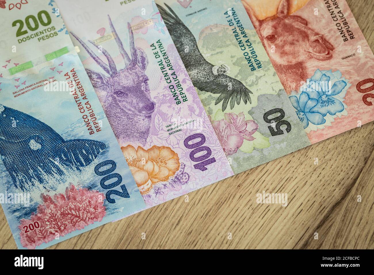 Argentine currency, Peso, Various paper banknotes, New currency Stock ...