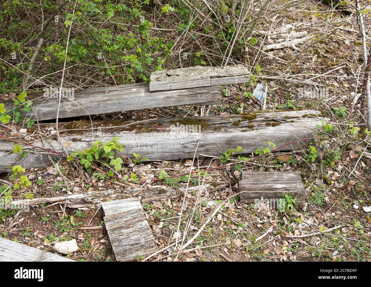 Old decaying timber Stock Photo - Alamy