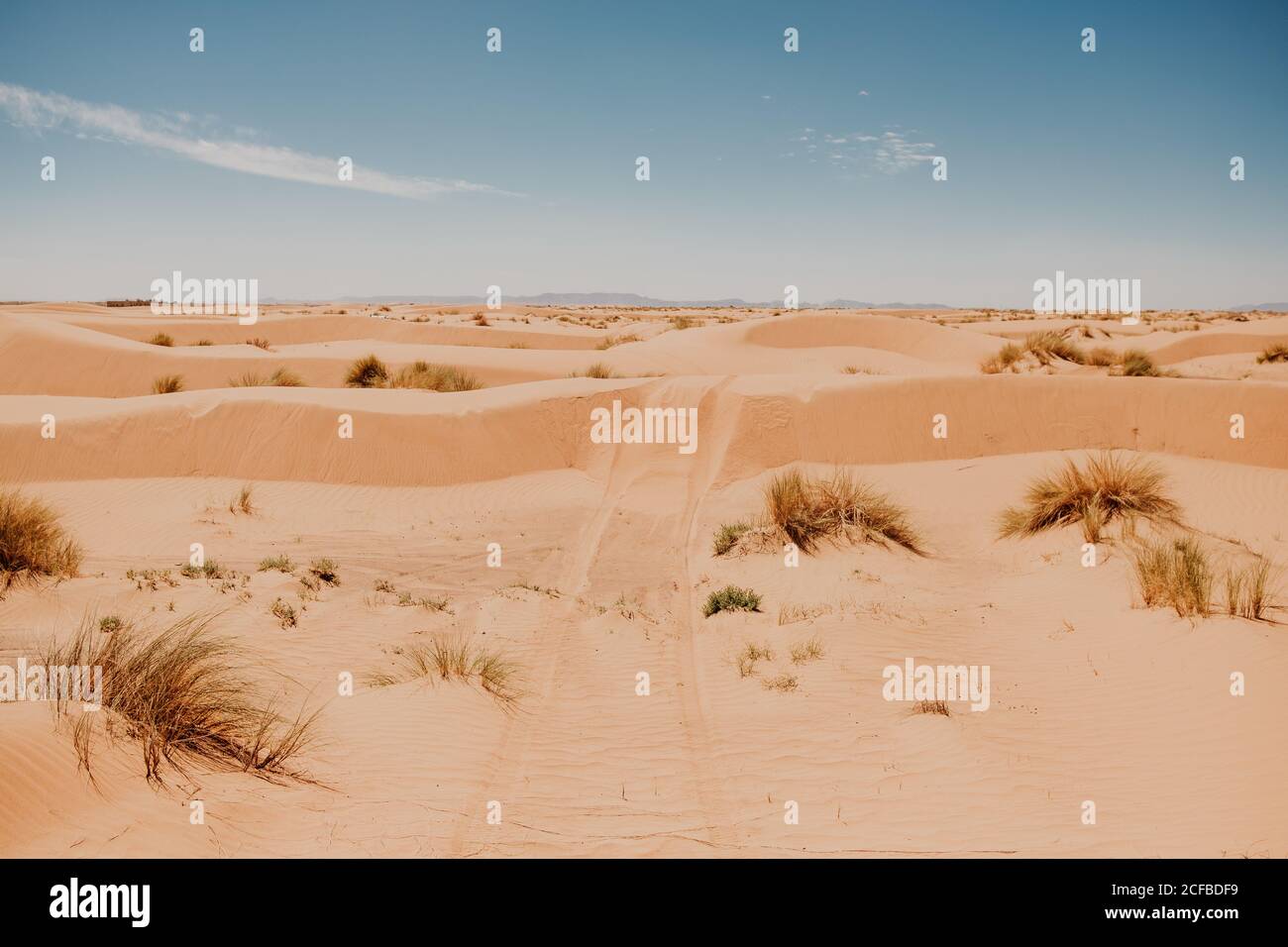 Trails from vehicle wheels on sandy dunes in arid desert on sunny day ...