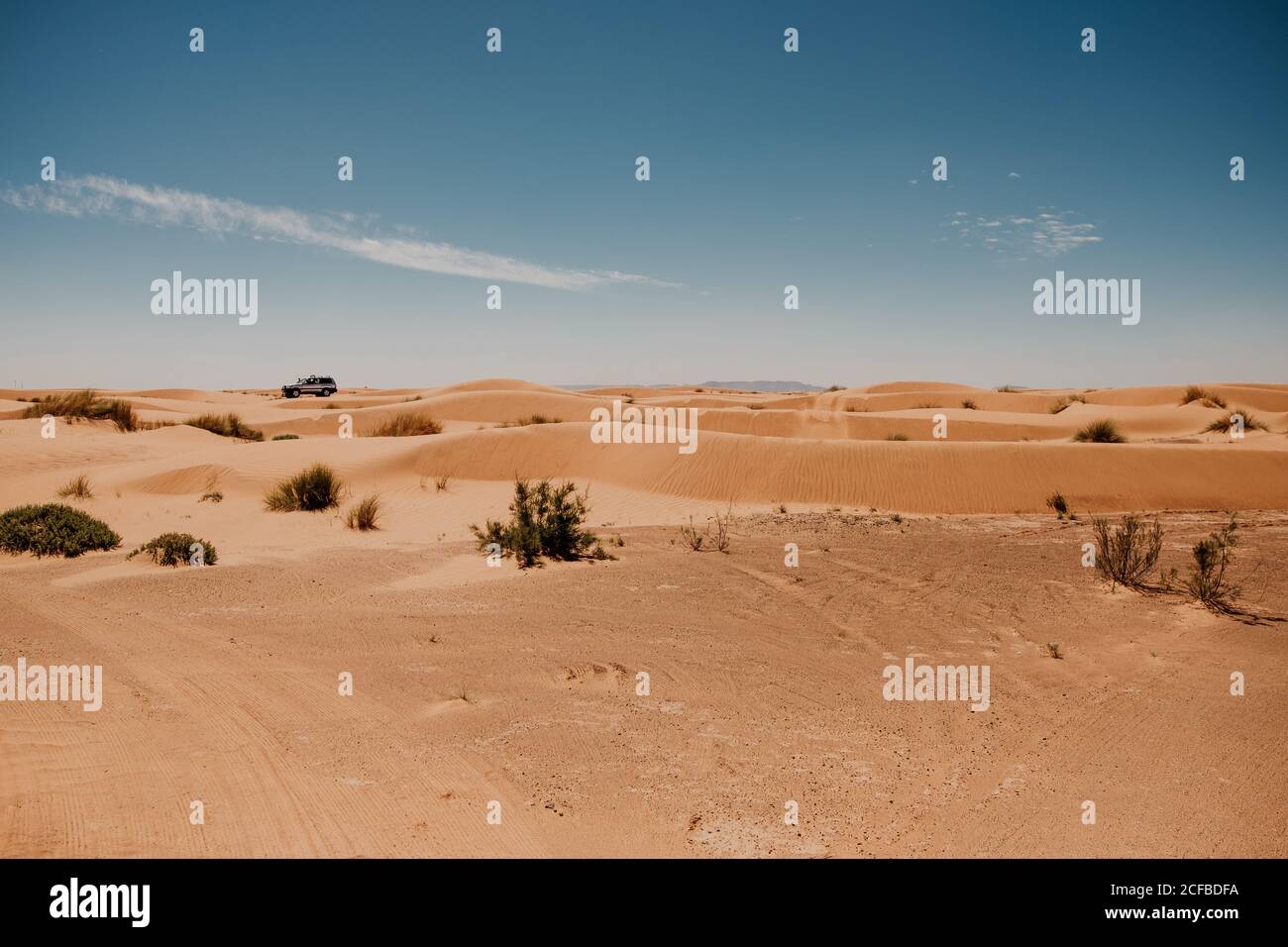 Trails from vehicle wheels on sandy dunes in arid desert on sunny day ...