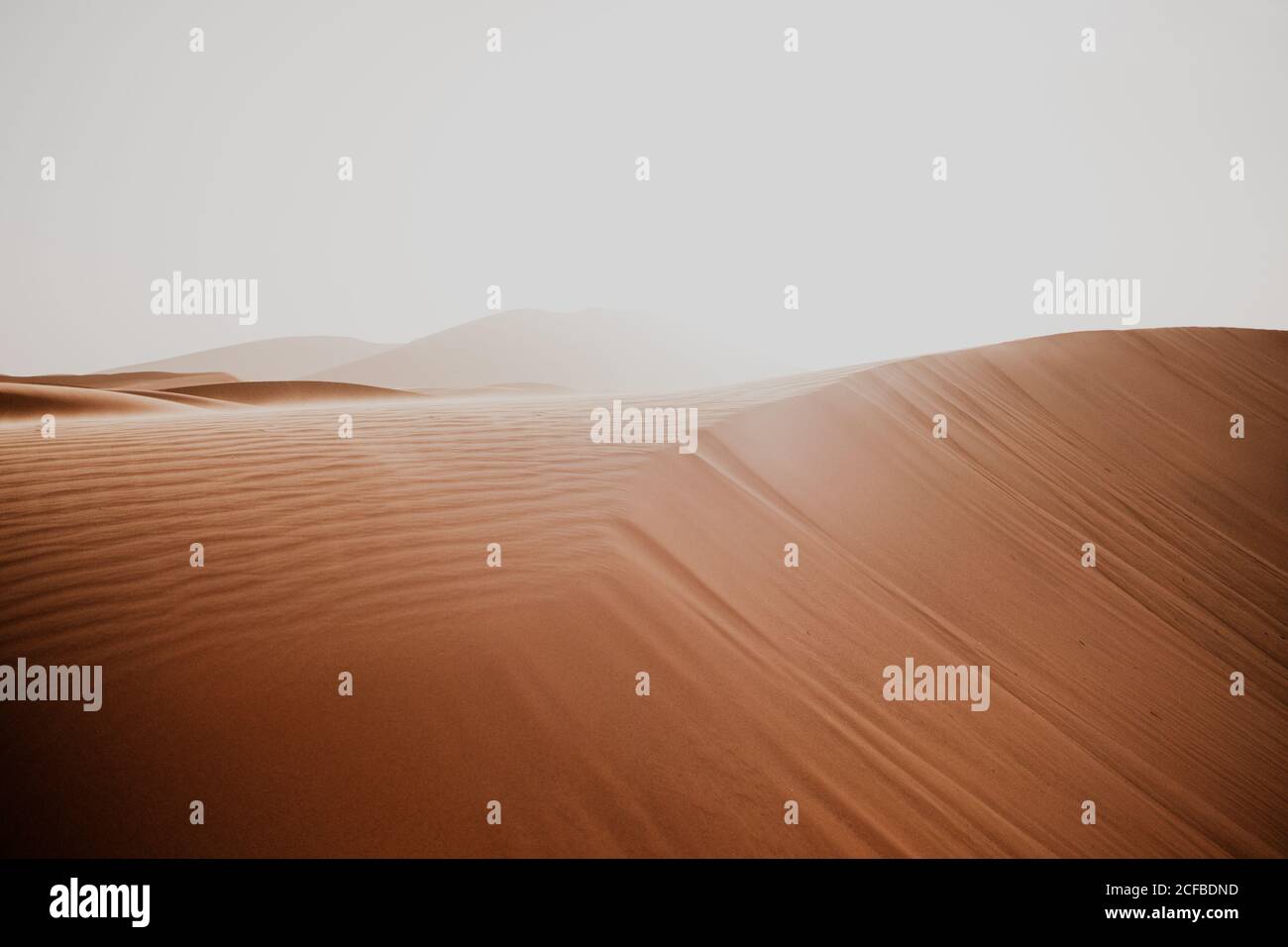 Hill from dry sand in middle of large desert against gray sky in ...