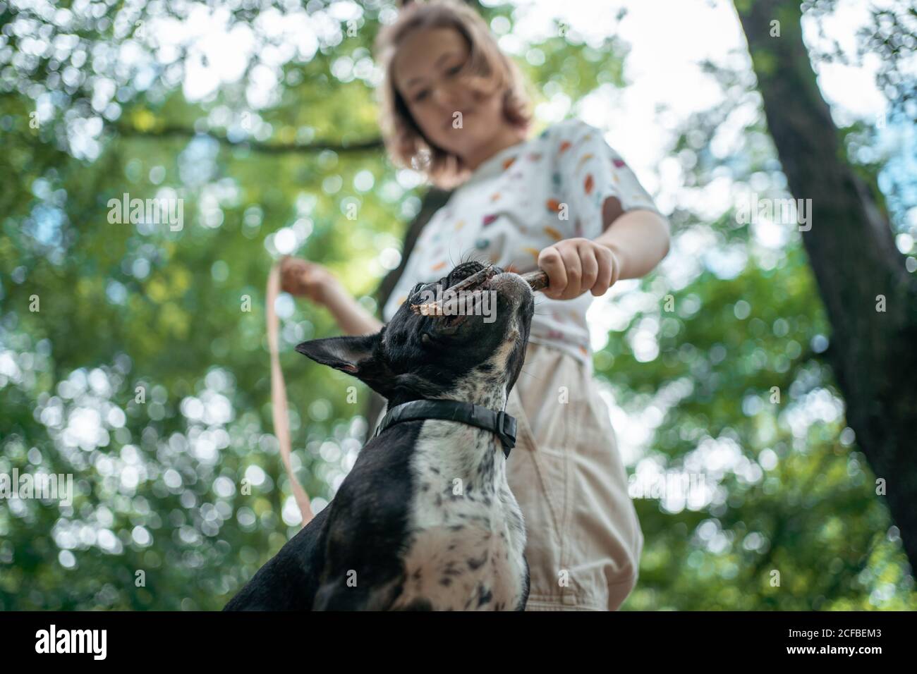 Frenchie girl hi-res stock photography and images - Alamy