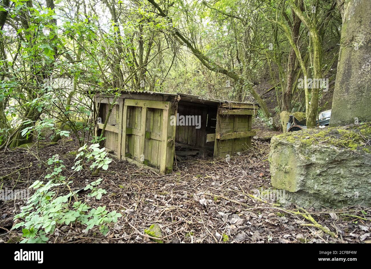 Woodland hillbilly shack example Stock Photo - Alamy