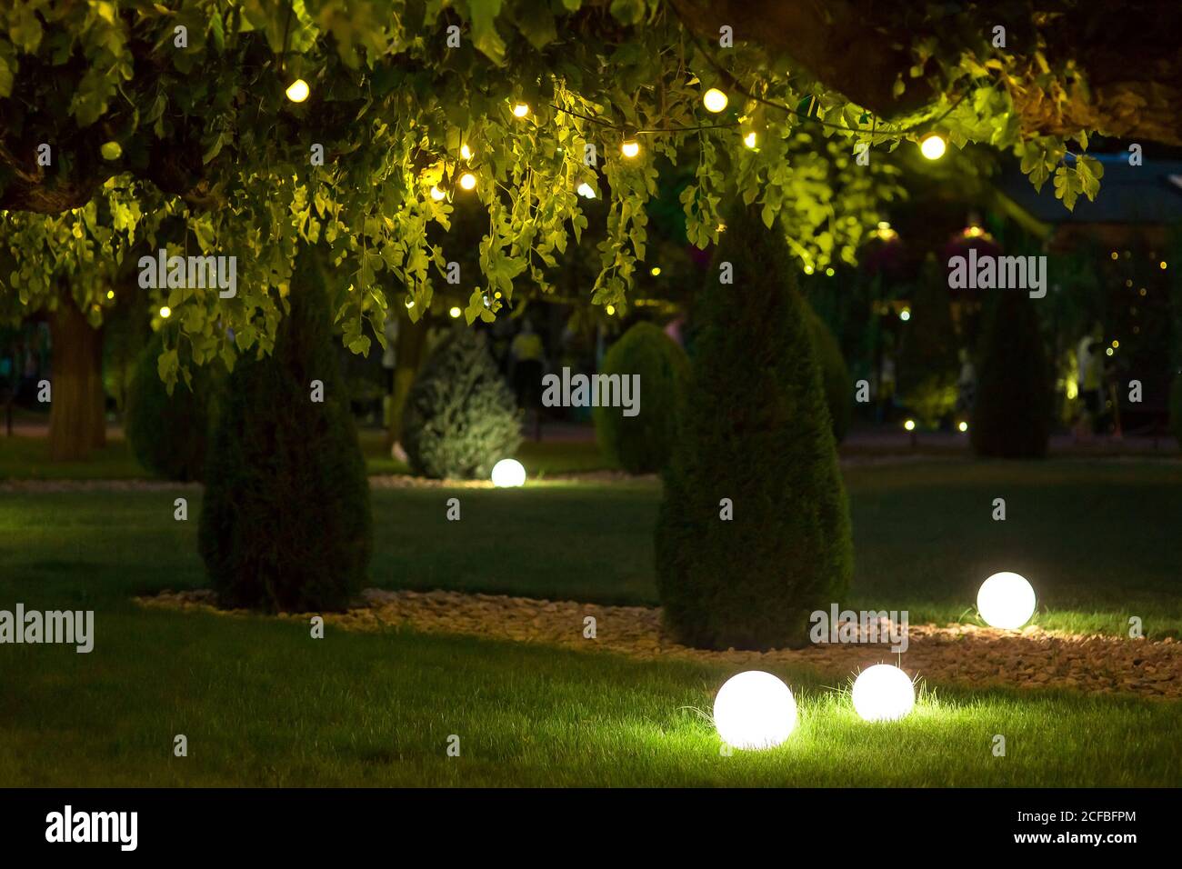 night backyard with mown lawn and trees festive decorated with garlands ...