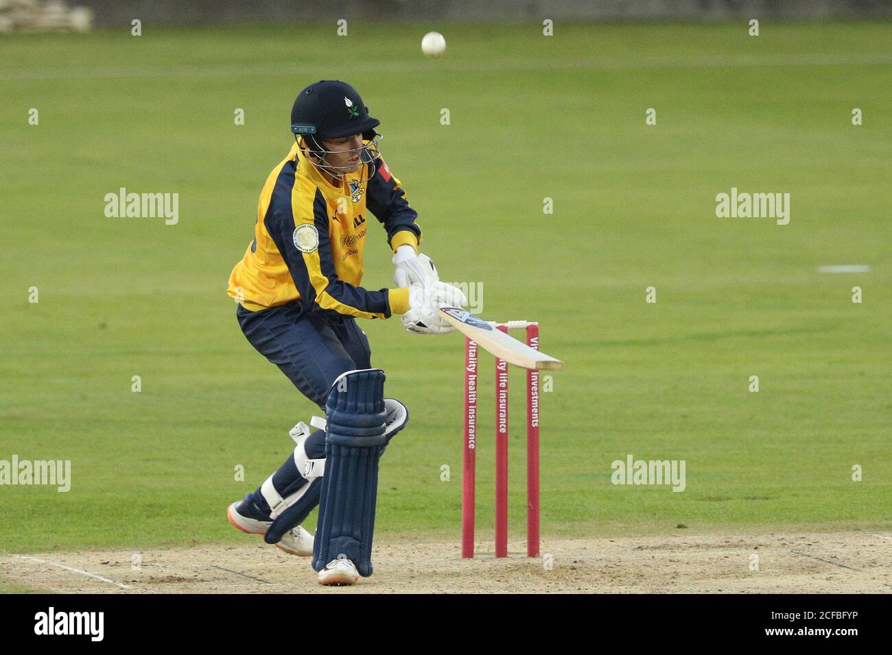 Harry brook cricket hi-res stock photography and images - Alamy