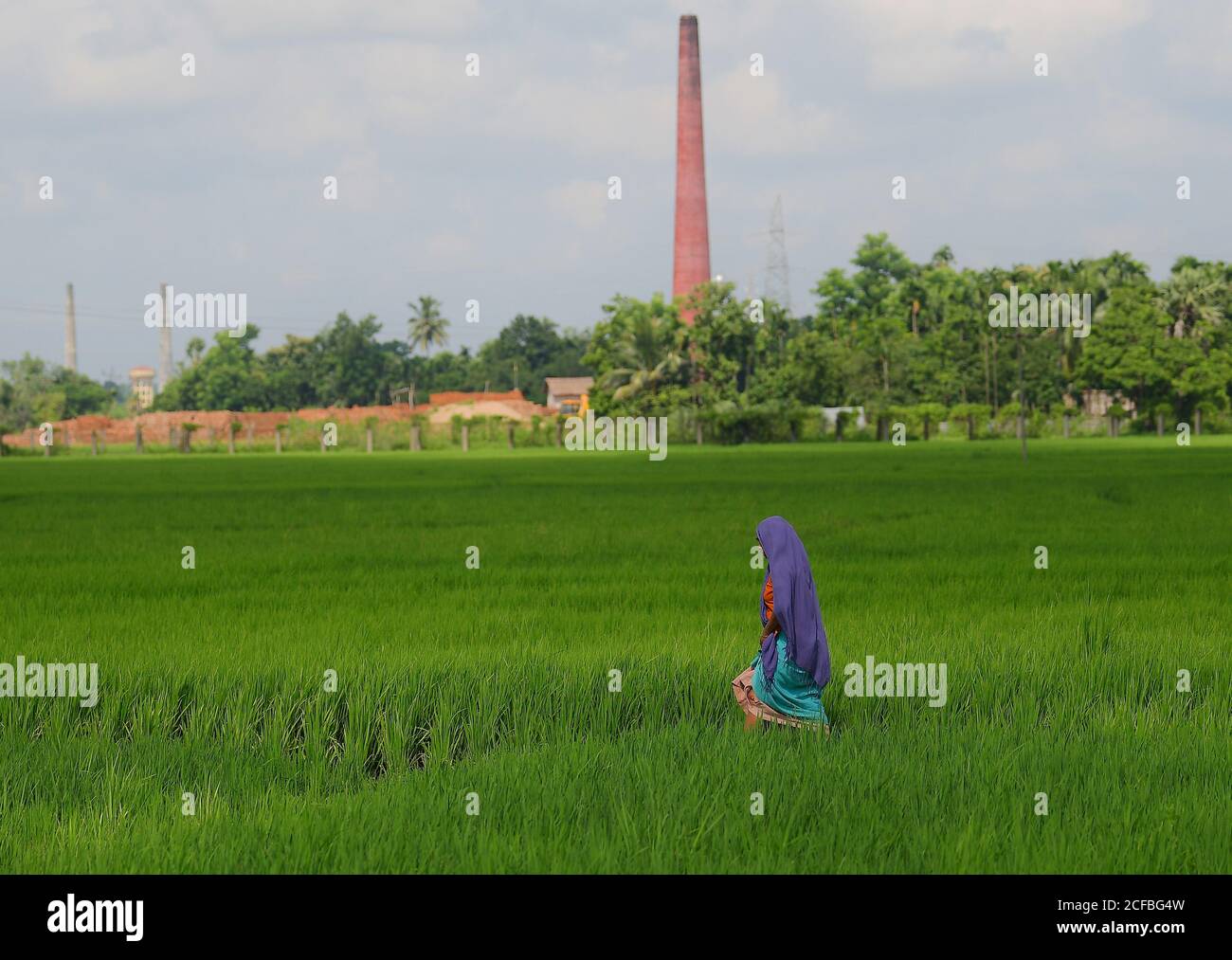 Tribal farmers are working in hot scotching sun using umbrellas, in the ...