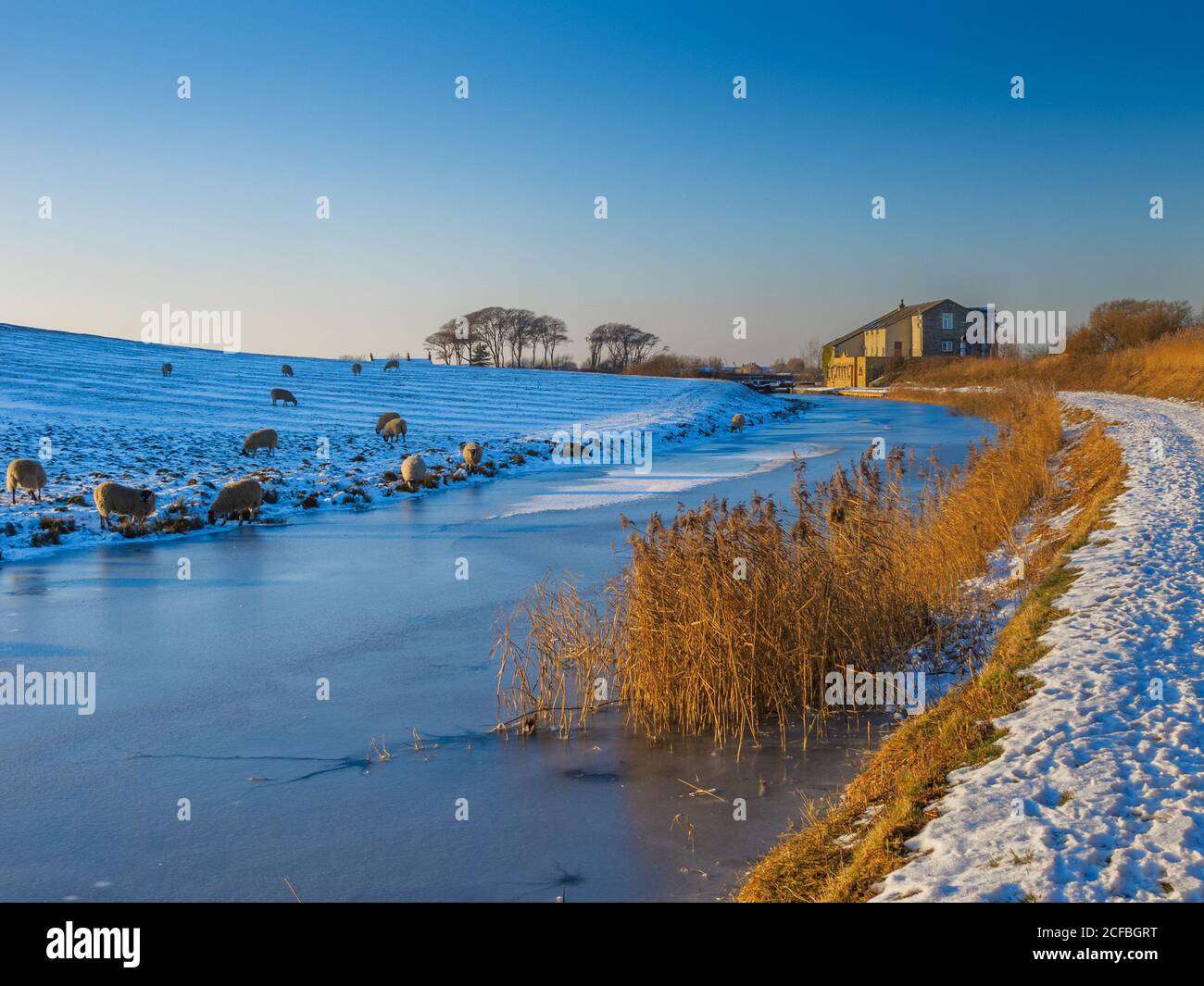 Winter on The Lancaster Canal near Glasson Dock Stock Photo - Alamy