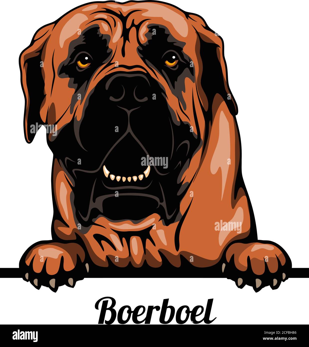 Boerboel breed Stock Vector Images - Alamy