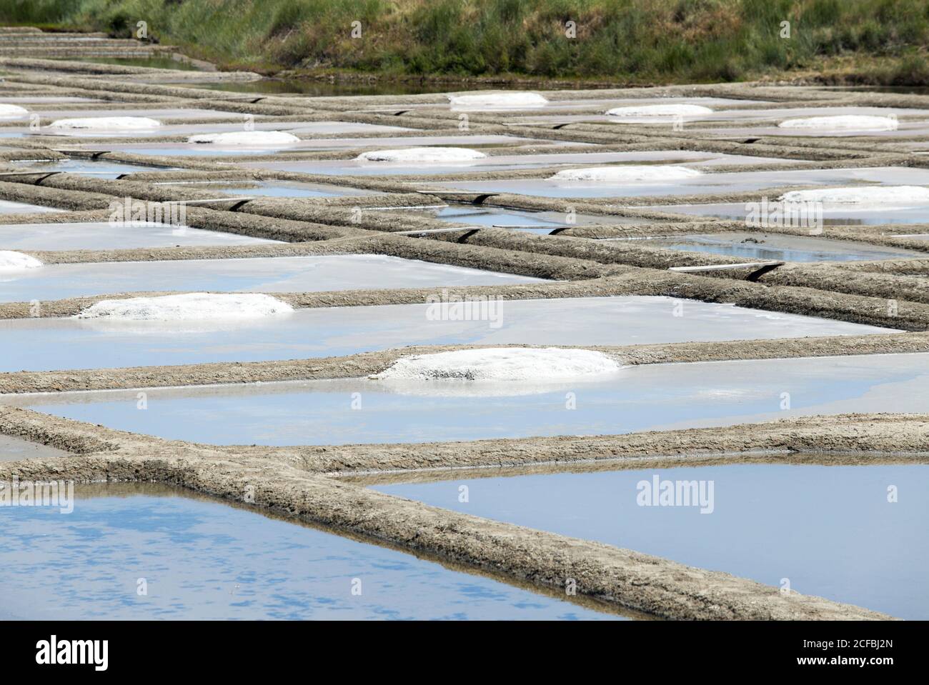 Salt garden, museum, Guerande France, France Stock Photo - Alamy