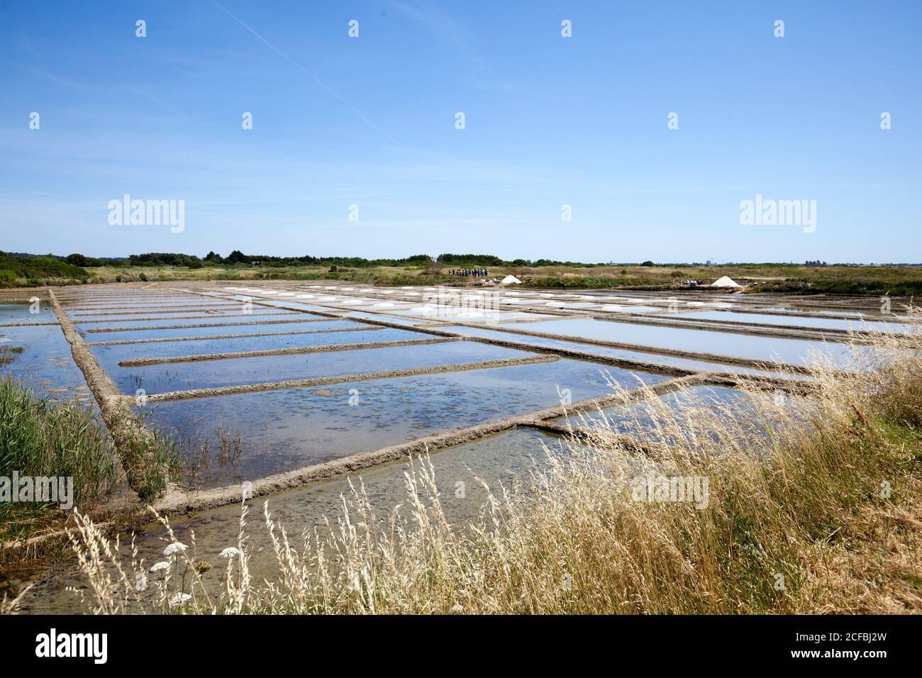 Salt garden, museum, Guerande France, France Stock Photo - Alamy