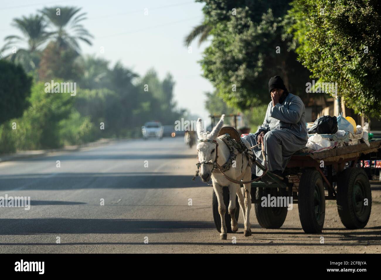Man with donkey carriage hi-res stock photography and images - Alamy
