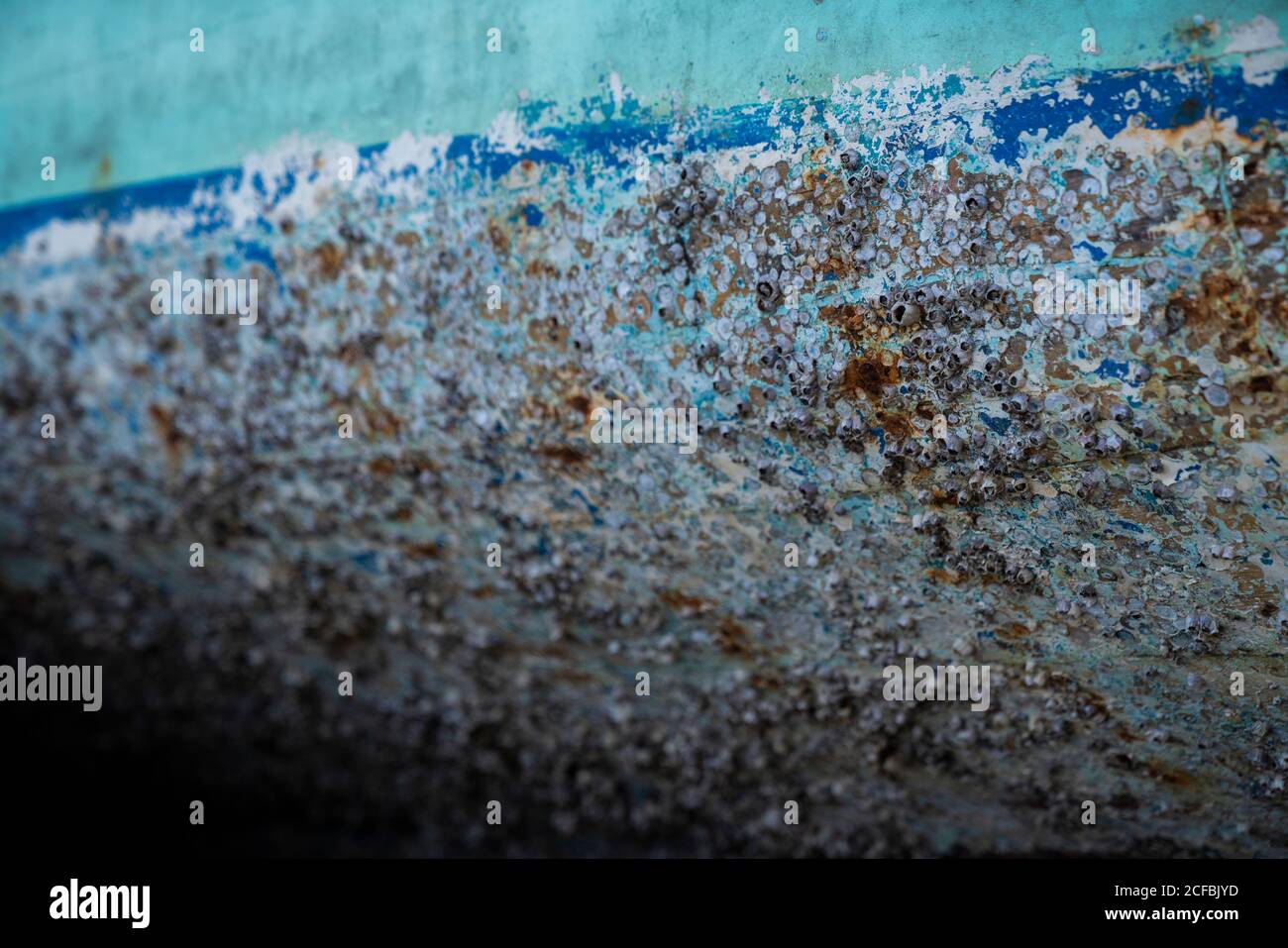 barnacles on the bottom of a blue boat Stock Photo - Alamy