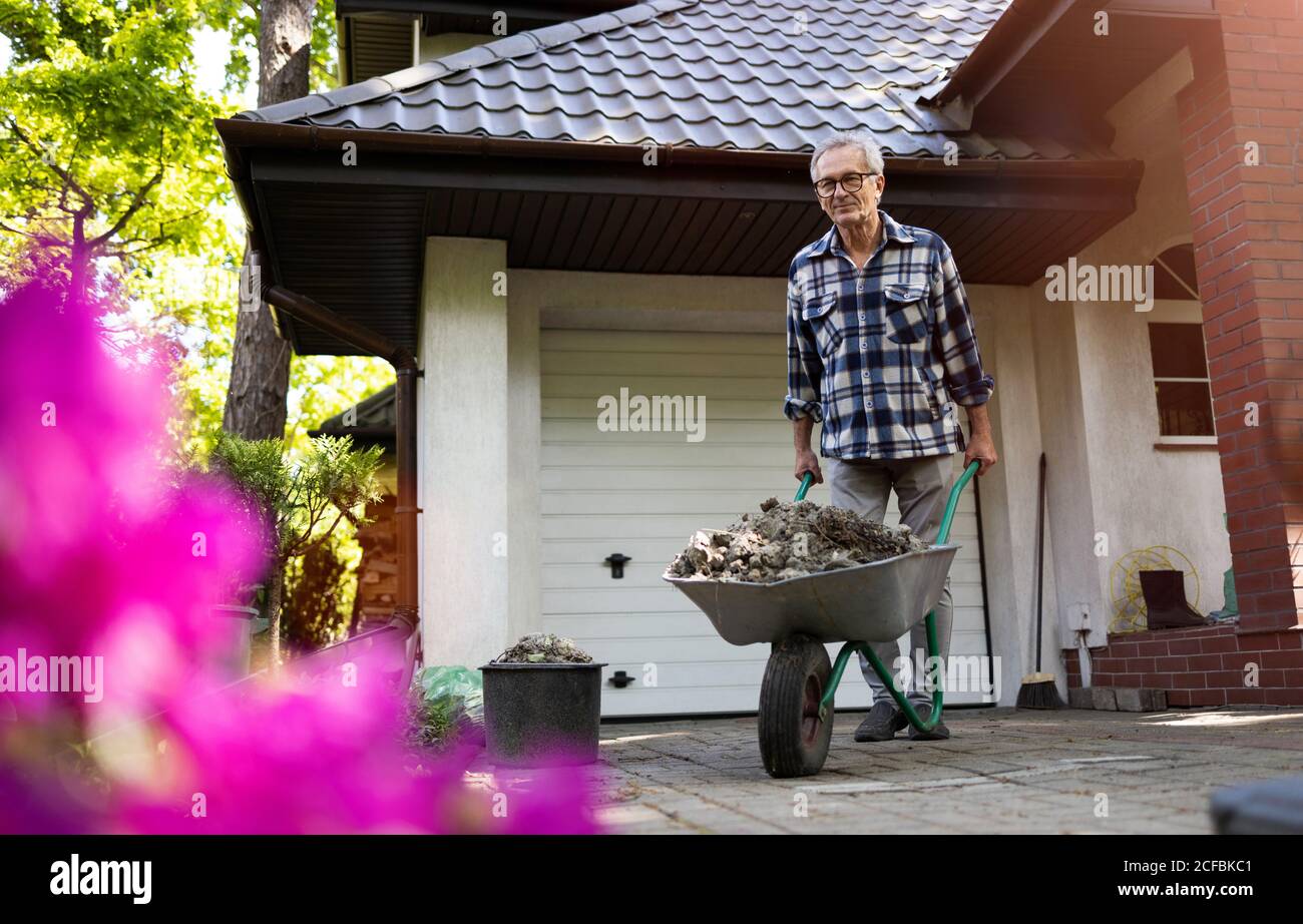 Senior man pushing wheelbarrow while working in his yard Stock Photo ...