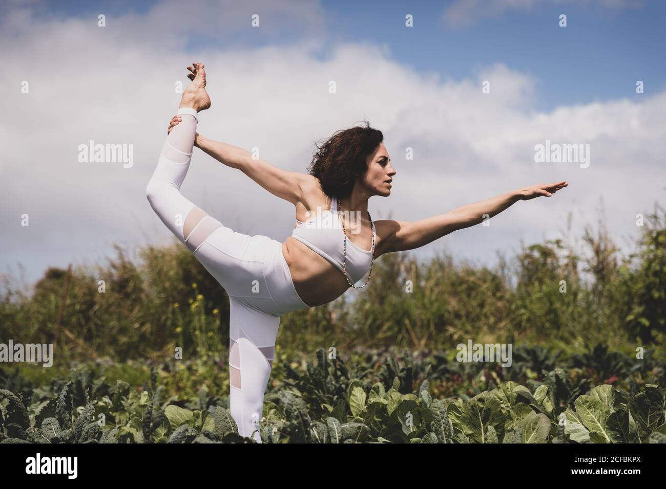 Woman in dancer's pose in a field Stock Photo - Alamy