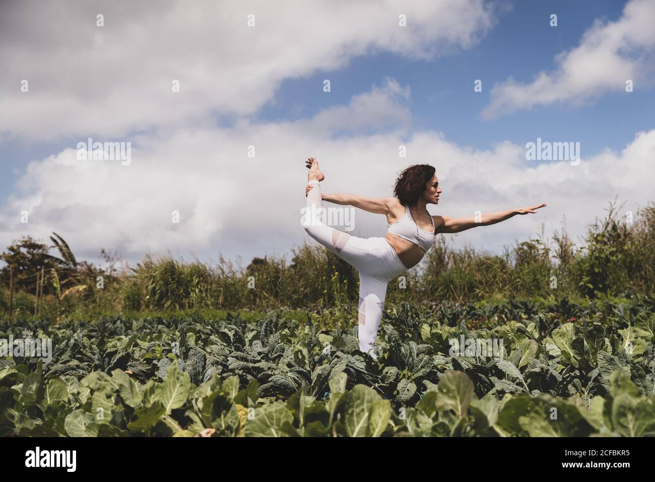 Female yogi in child's pose in a field of green vegetables Stock Photo ...