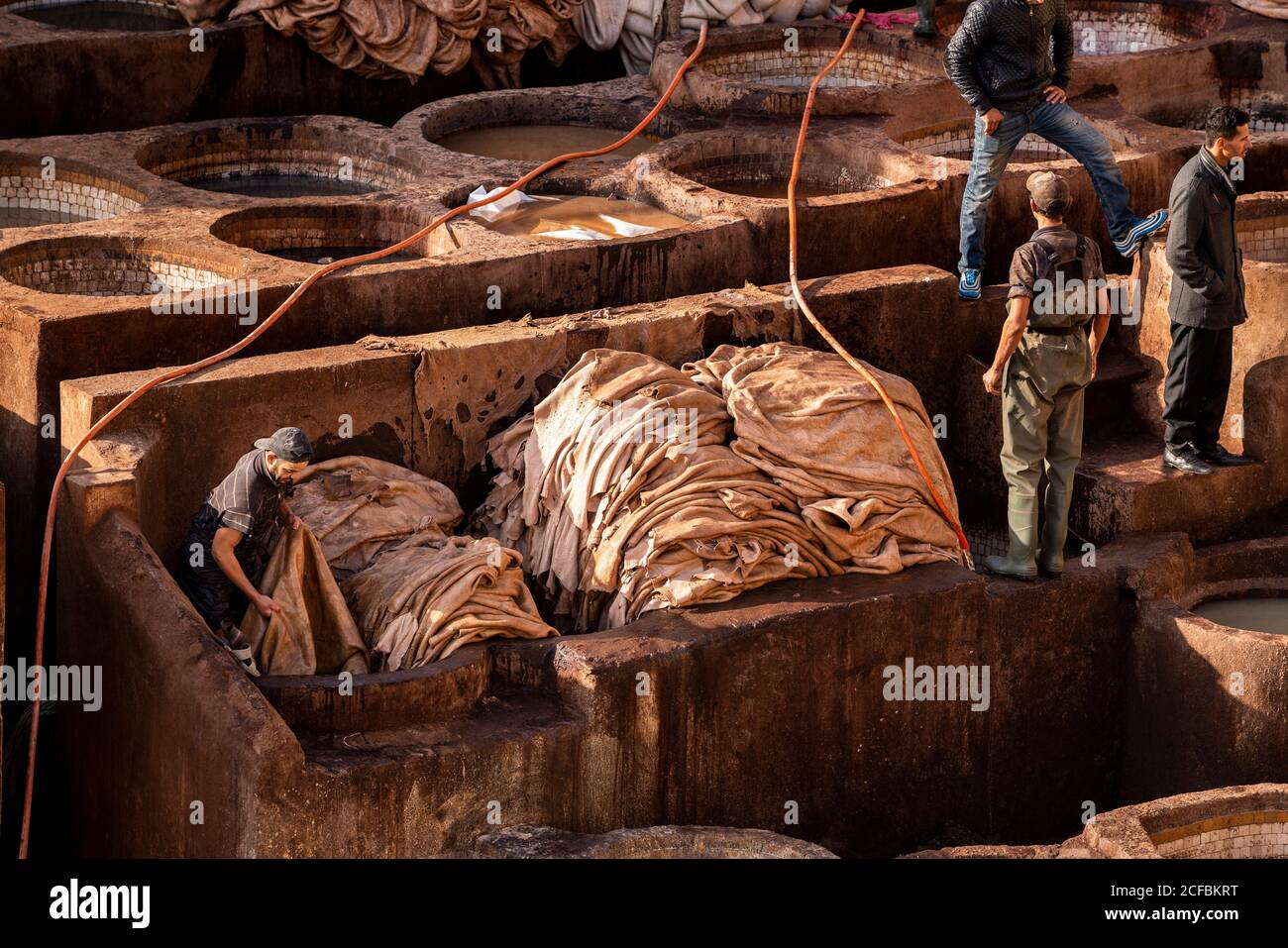 Moroccan leather workers at the Fez tannery Stock Photo - Alamy