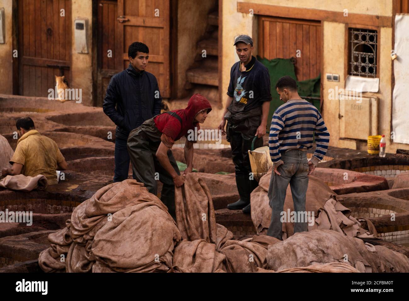 Group of male leather workers in tannery in fez, Morocco Stock Photo ...