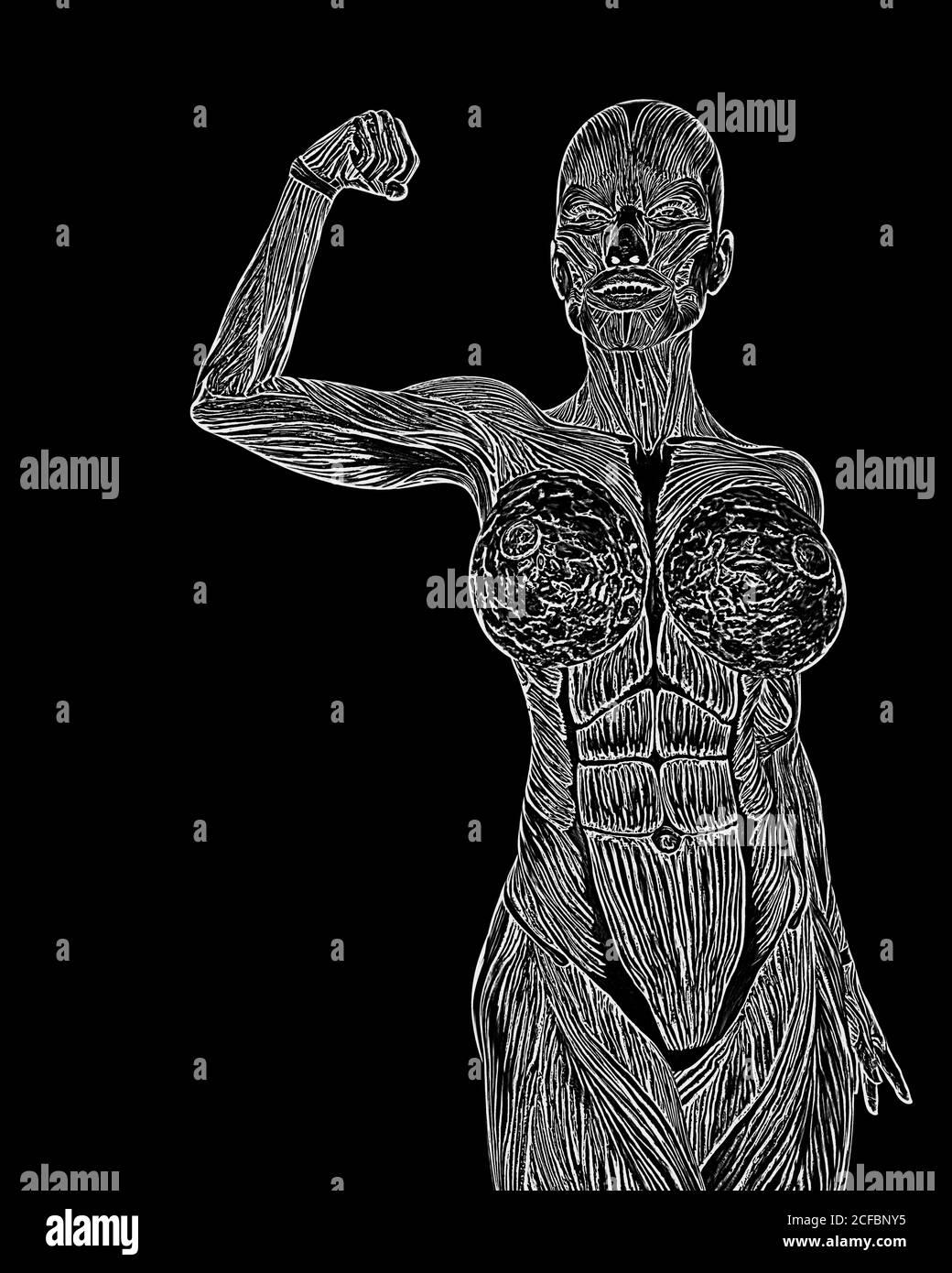 female bodybuilding in muscle maps is doing a bodybuilder pose seven in white background close ...