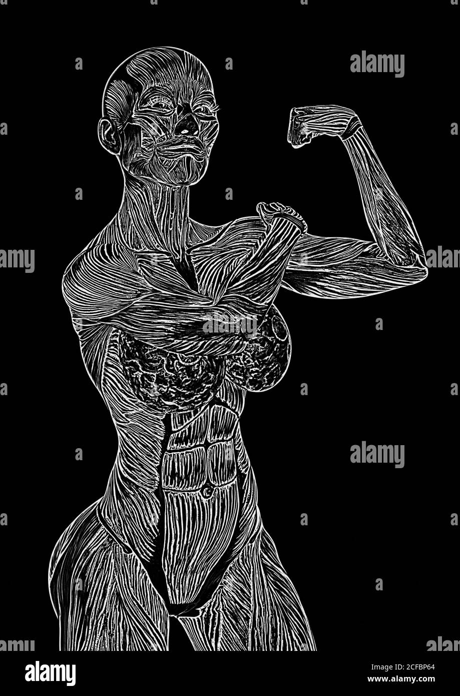 female bodybuilding in muscle maps is doing a can do it pose in white background, 3d ...