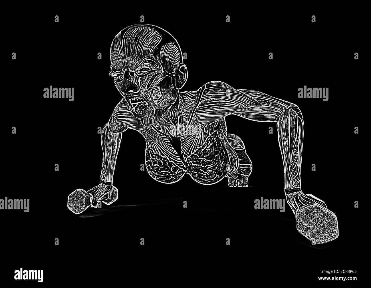 female bodybuilding in muscle maps doing push-ups with dumbbell in ...