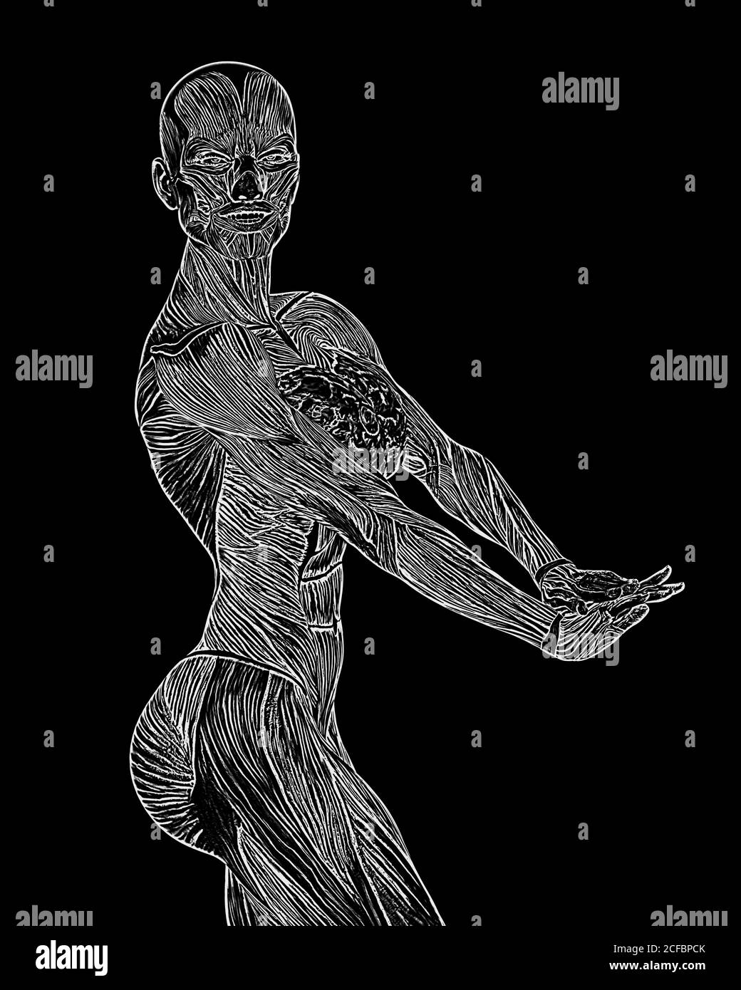 female bodybuilding in muscle maps is doing a bodybuilder pose five in white background close up ...